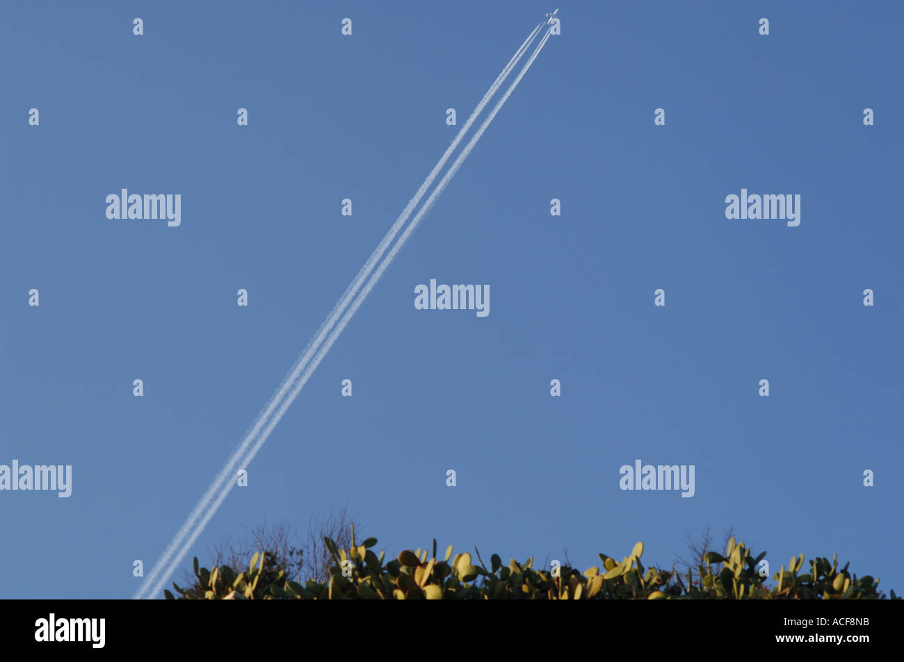 Aircraft jet trail on a blue sky with bushes at the bottom Stock Photo ...