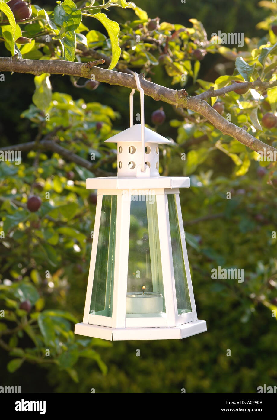 Hexagonal lantern hi-res stock photography and images - Alamy