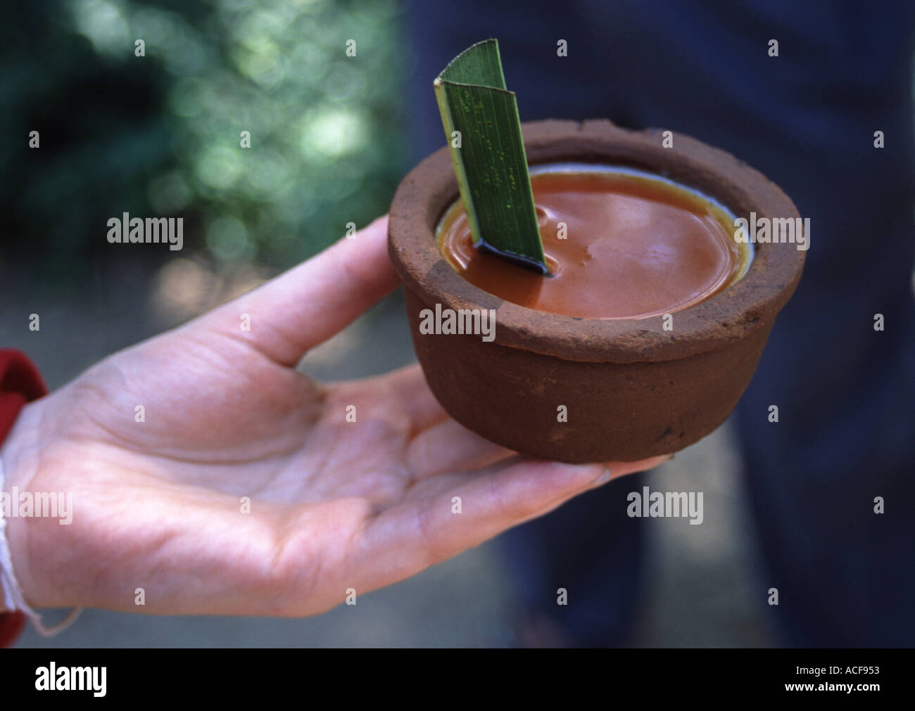 Buffalo curd india hi-res stock photography and images - Alamy