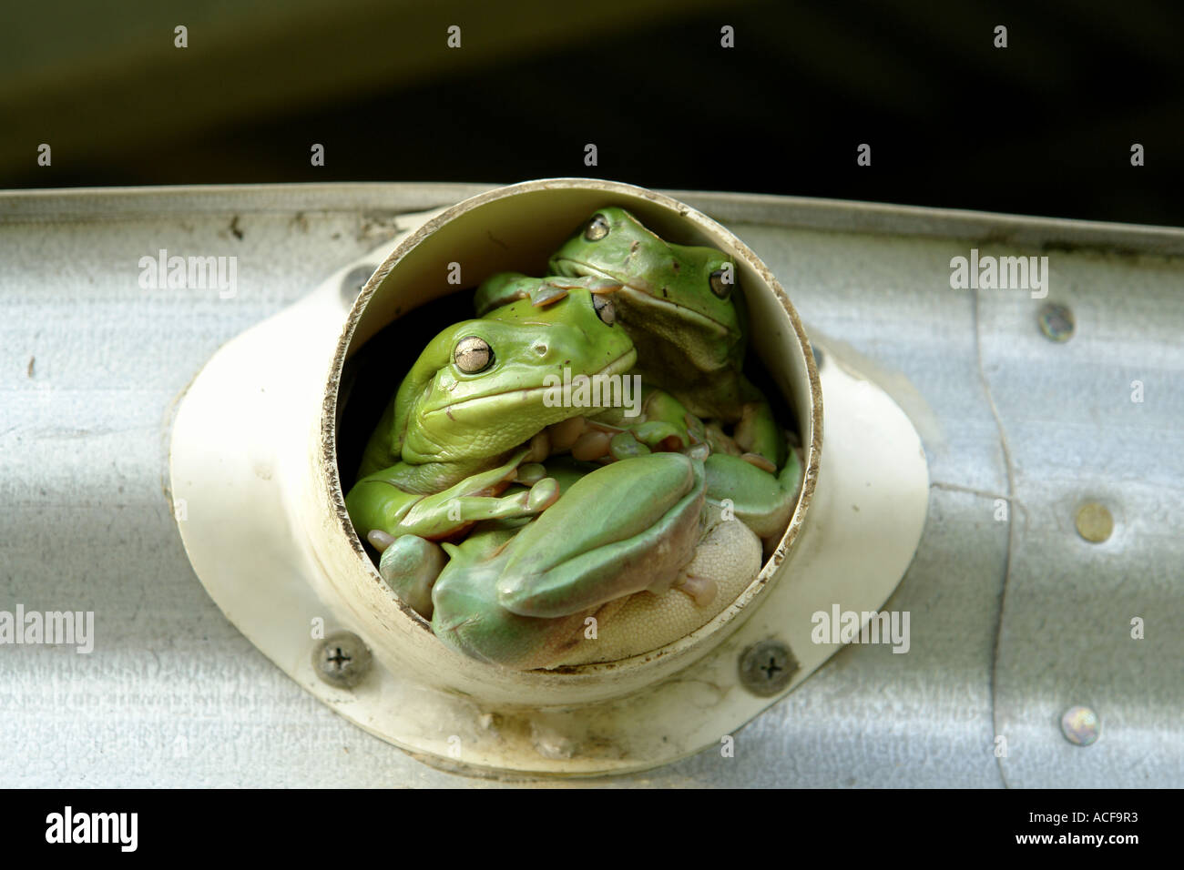 Water tank overflow hi-res stock photography and images - Alamy