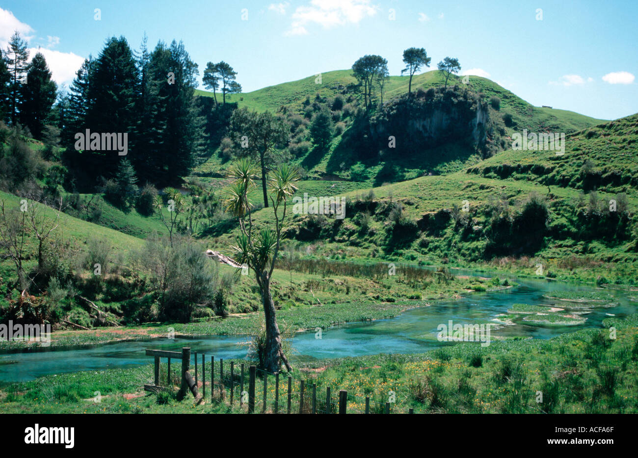 Waiomou hi-res stock photography and images - Alamy