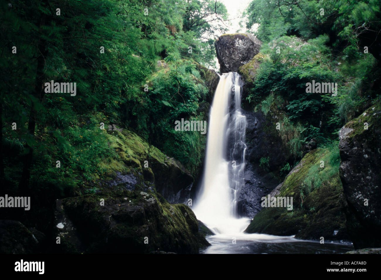 Devil's glen wicklow hi-res stock photography and images - Alamy