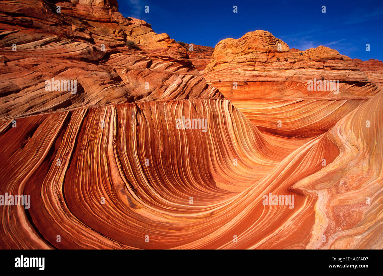 sandstone fins in coyote butte north the wave vermillion cliffs ...