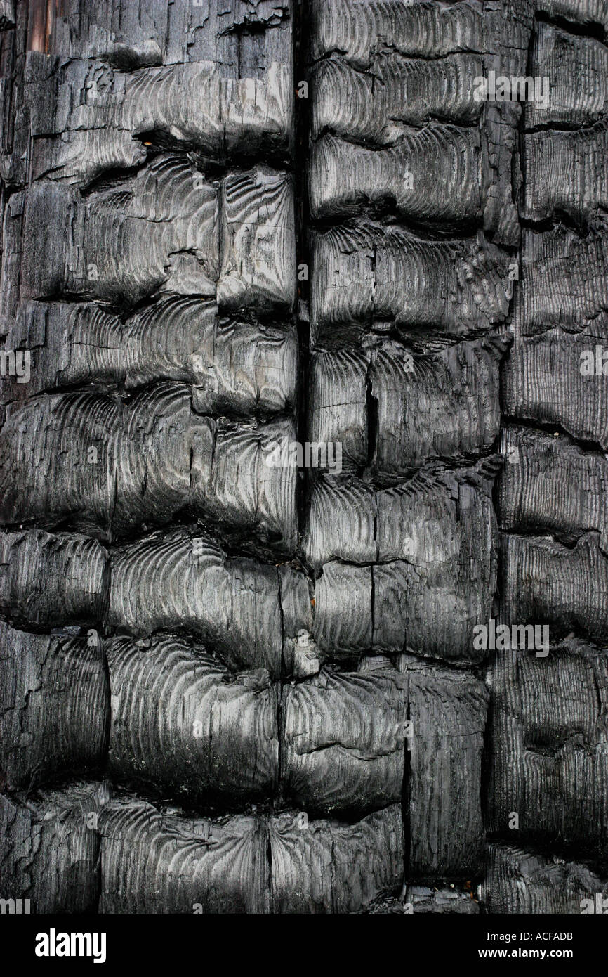 Shiny charred wood surface Stock Photo - Alamy