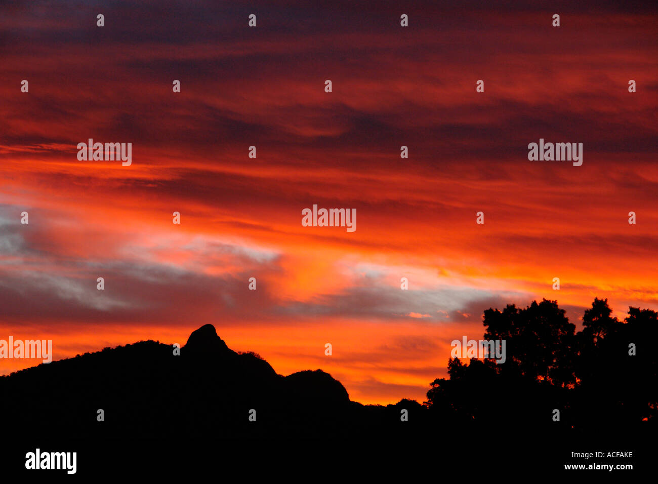 Tweed shire hi-res stock photography and images - Alamy