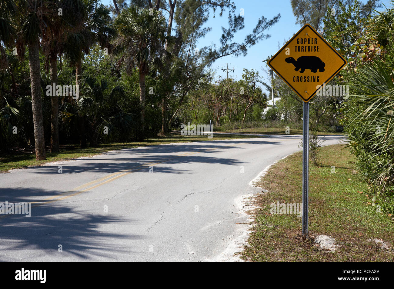 Tortoise warning road sign High Resolution Stock Photography and Images ...