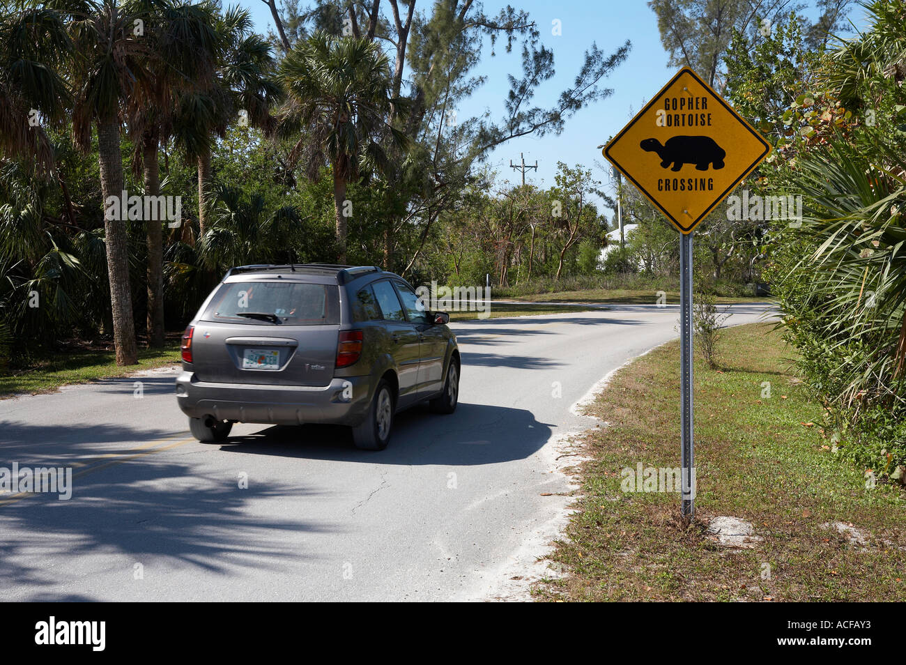 Gopher tortoise crossing sign hi-res stock photography and images - Alamy