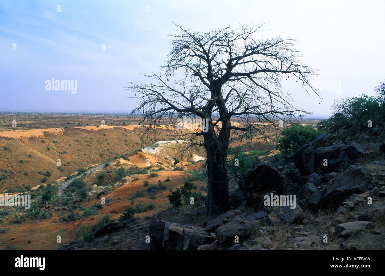 Dogon country, bandiagara escarpment hi-res stock photography and ...