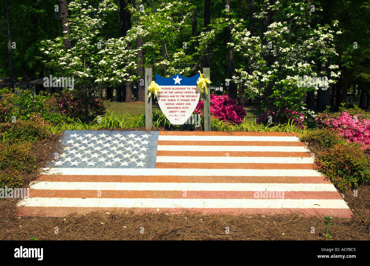 American pledge of allegiance hi-res stock photography and images - Alamy