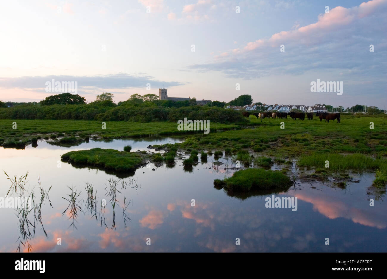 The Stour Estuary at Christchurch Dorset England UK at dusk with the ...