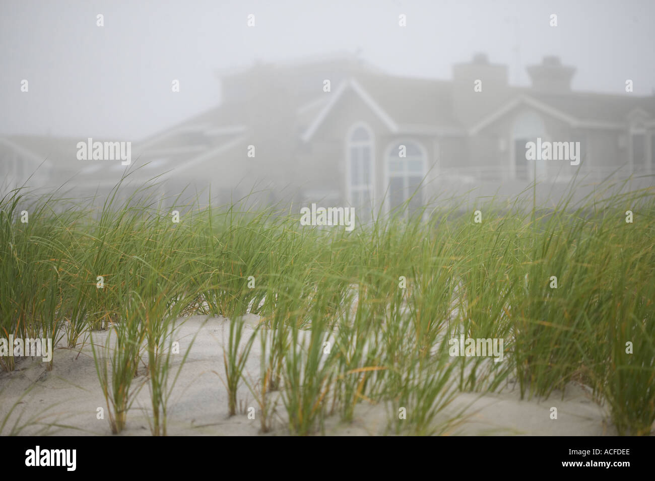 Dune protection areas hi-res stock photography and images - Alamy