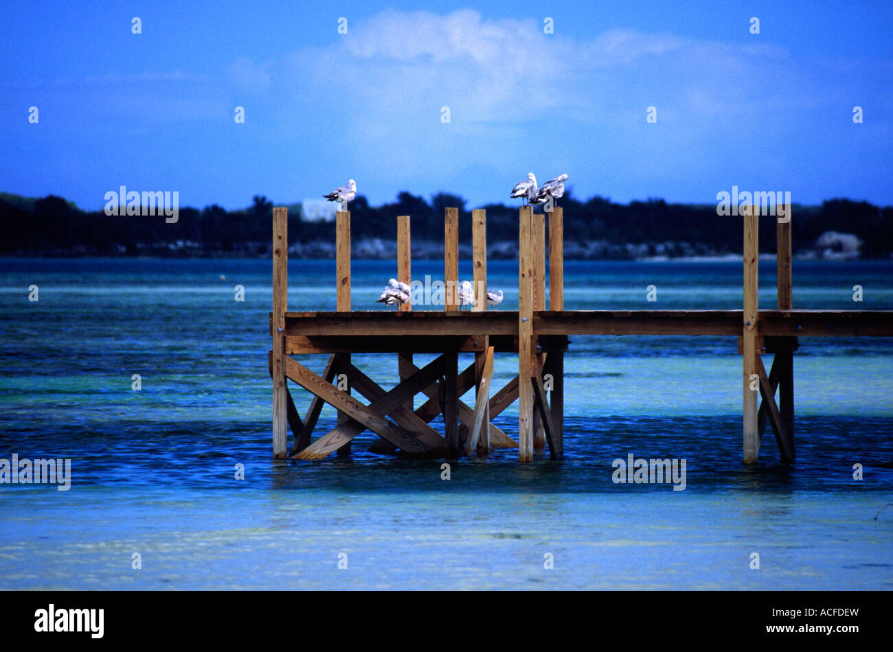 Spanish wells bahamas hi-res stock photography and images - Alamy