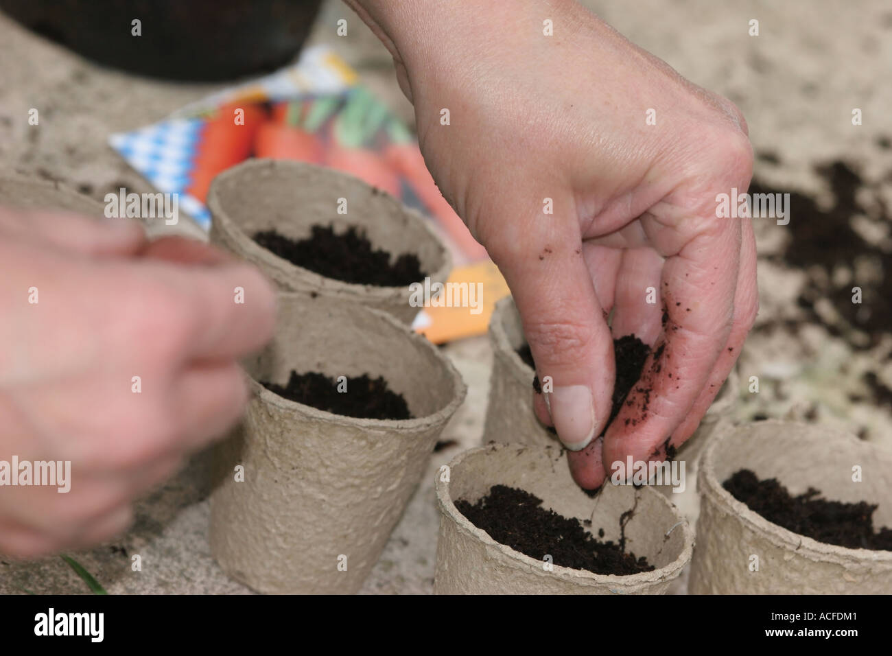 Gardener Putting Soil into Environmentally Friendly Recycled Cardboard ...
