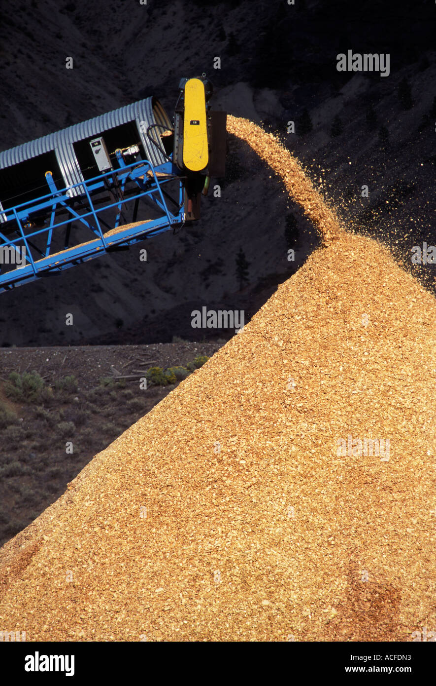 Woodchip Piles High Resolution Stock Photography and Images - Alamy