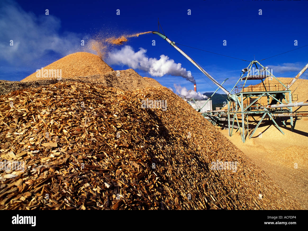 Woodchip Paper High Resolution Stock Photography and Images - Alamy