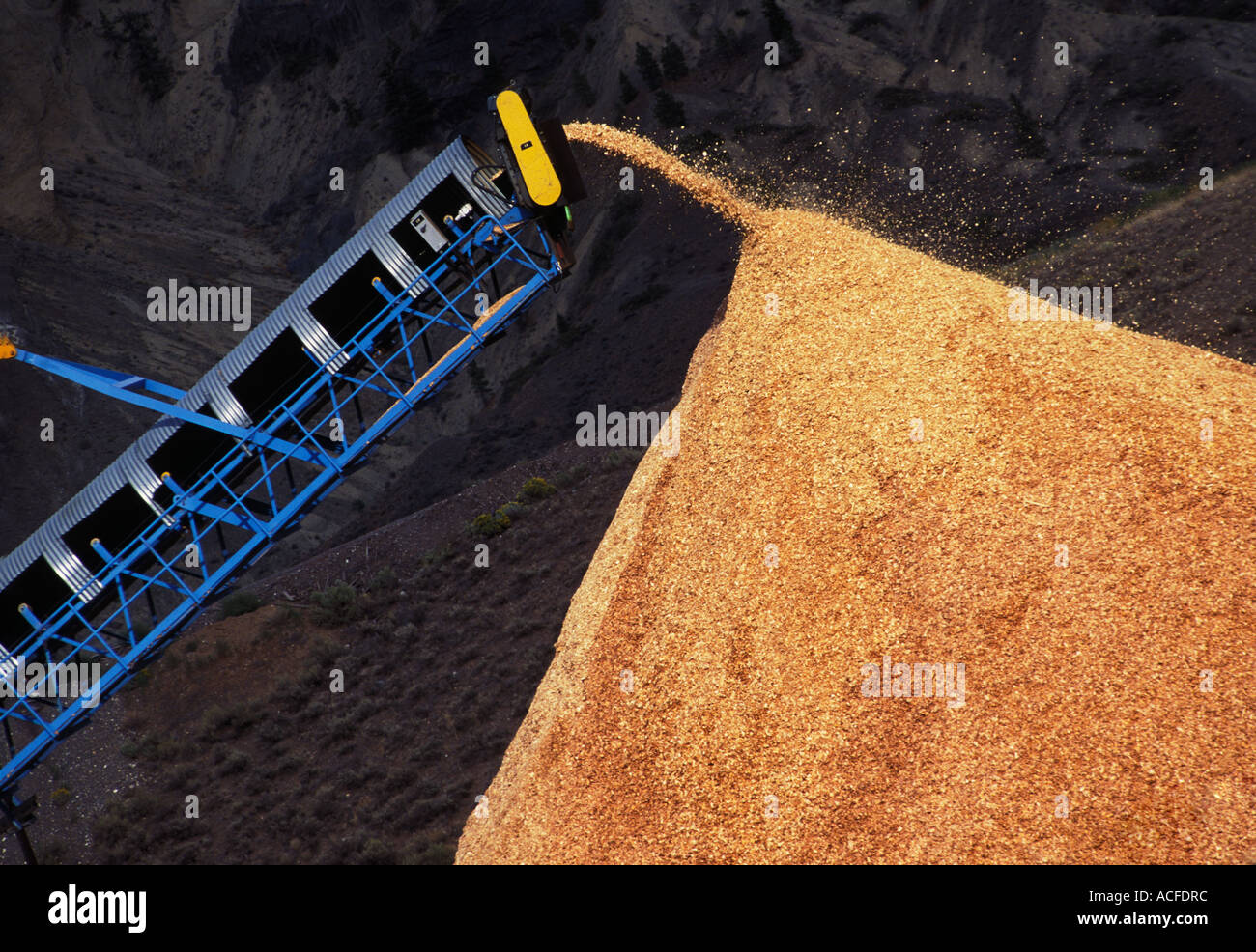 Woodchip Paper High Resolution Stock Photography and Images - Alamy