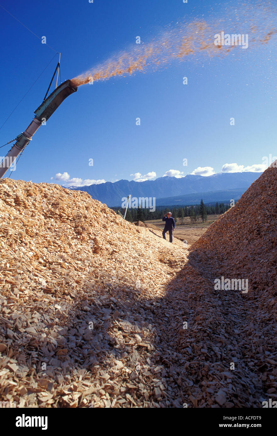 Woodchip Piles High Resolution Stock Photography and Images - Alamy