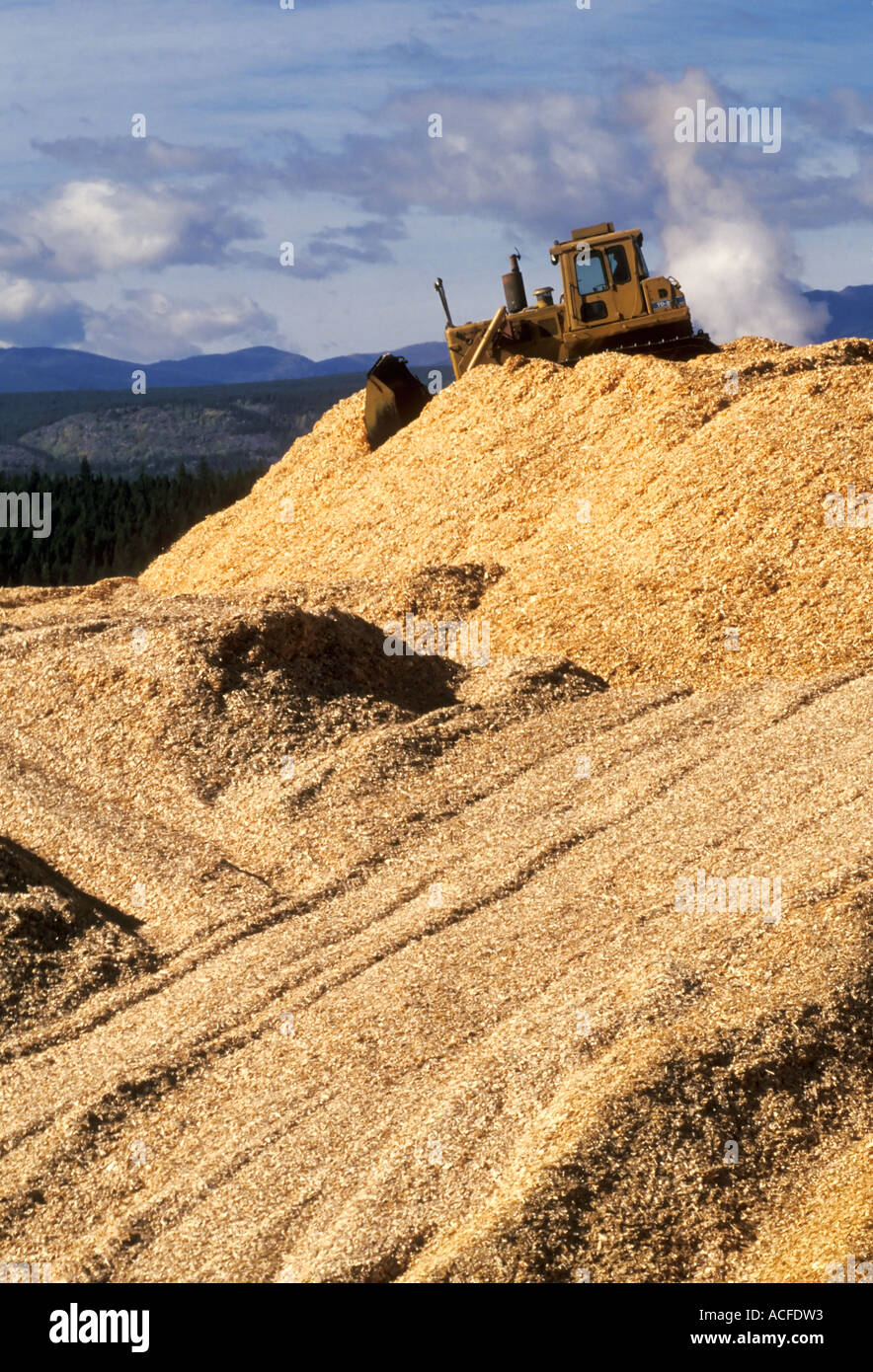 Woodchip piles hi-res stock photography and images - Alamy