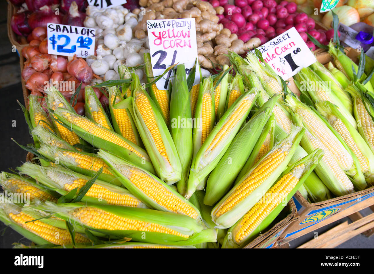 Corn and Vegetables on Display at Public Market in Seattle Washington ...