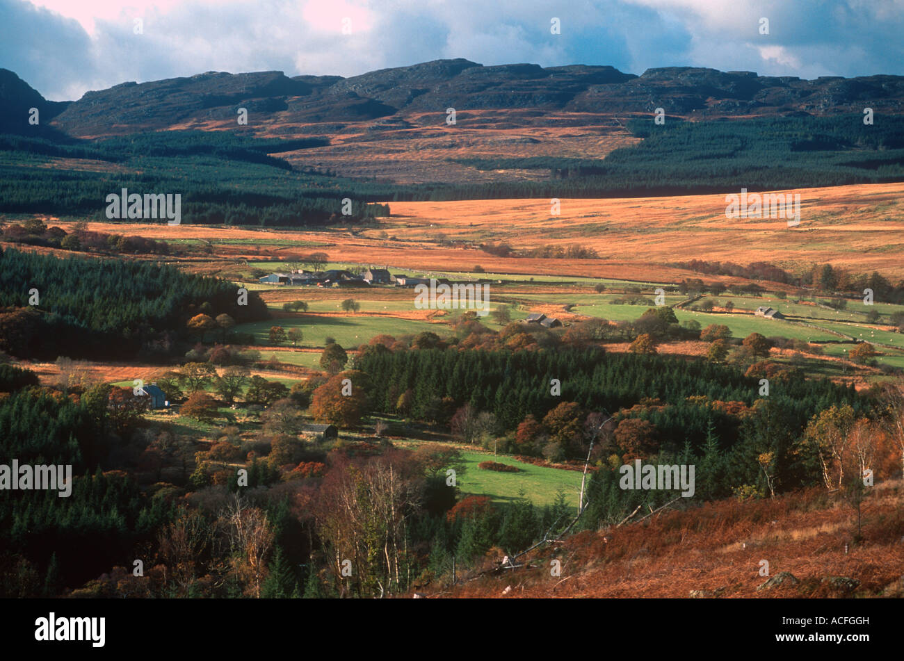 Gwynedd Snowdonia Coed-y-Brenin Rhinog Landscape Hills Building ...