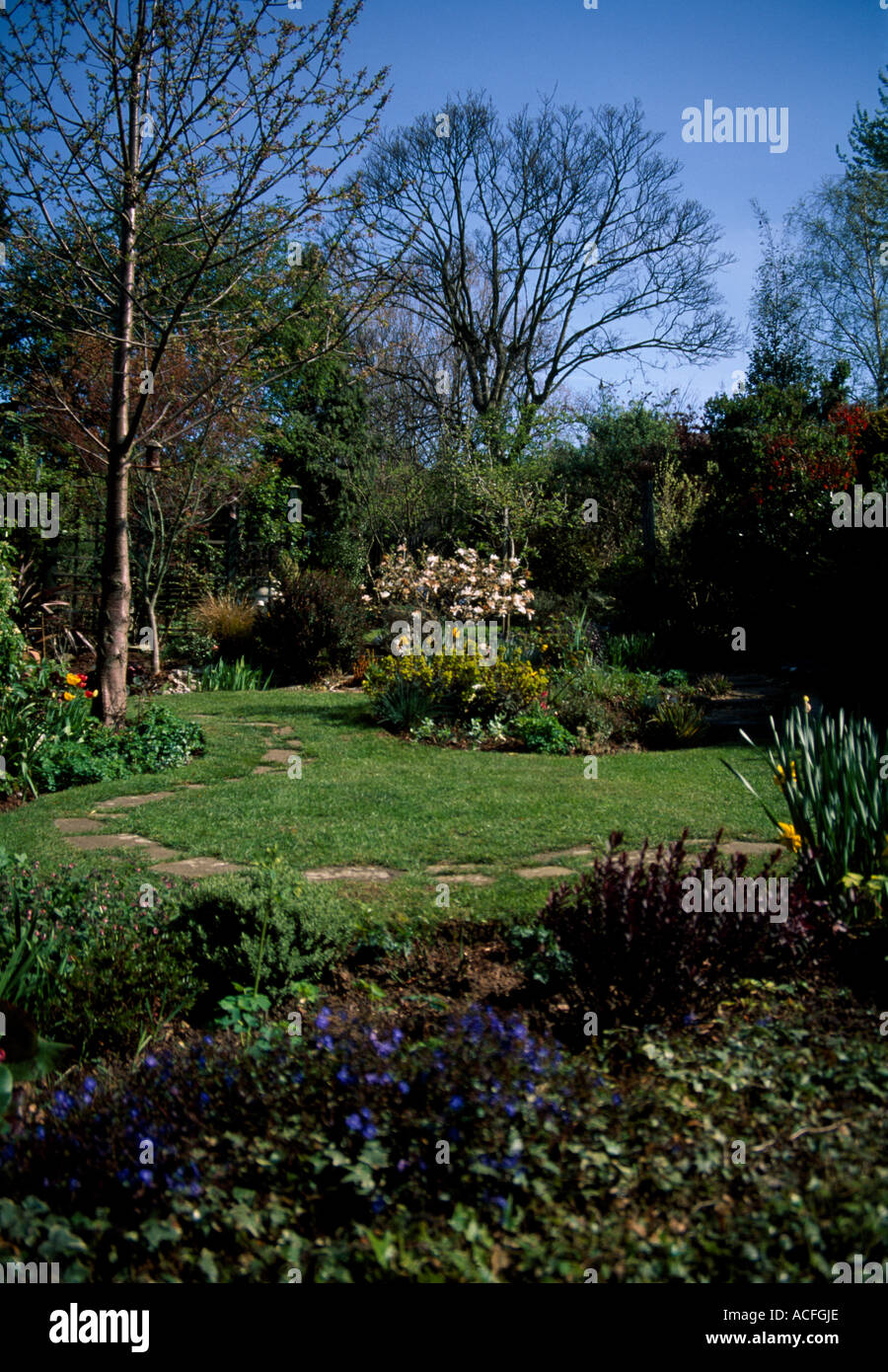 Garden with path borders and trees Stock Photo - Alamy