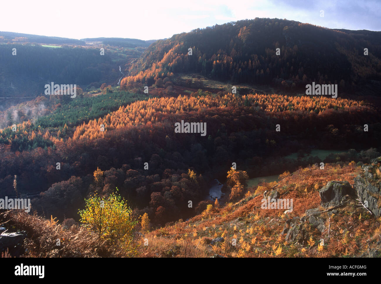 Lledr Valley and Gwydyr Forest Snowdonia Gwynedd North Wales UK Stock ...