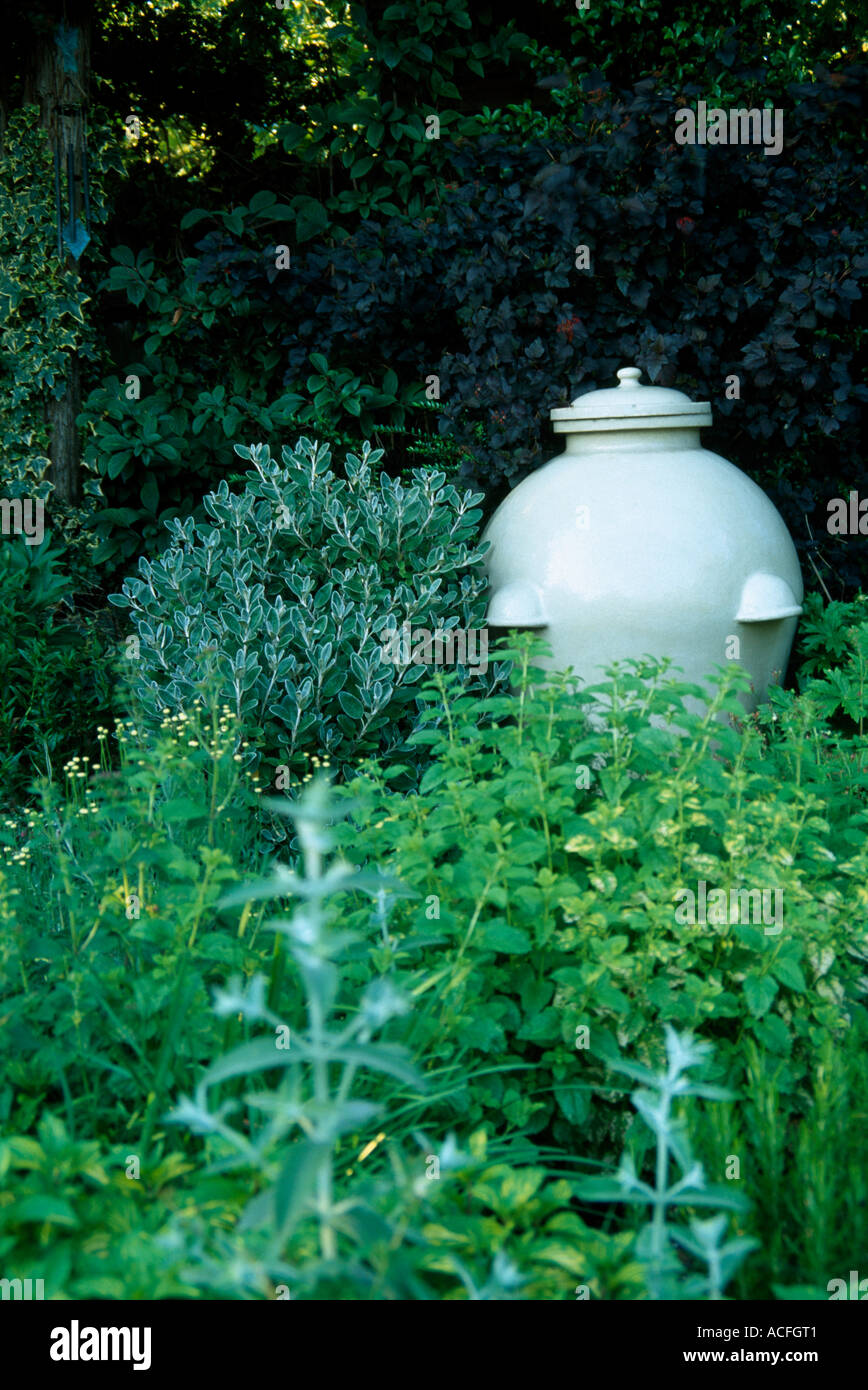 Large garden shrubs hi-res stock photography and images - Alamy