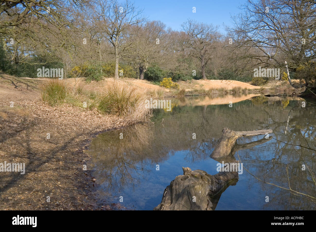 Half immersed hi-res stock photography and images - Alamy