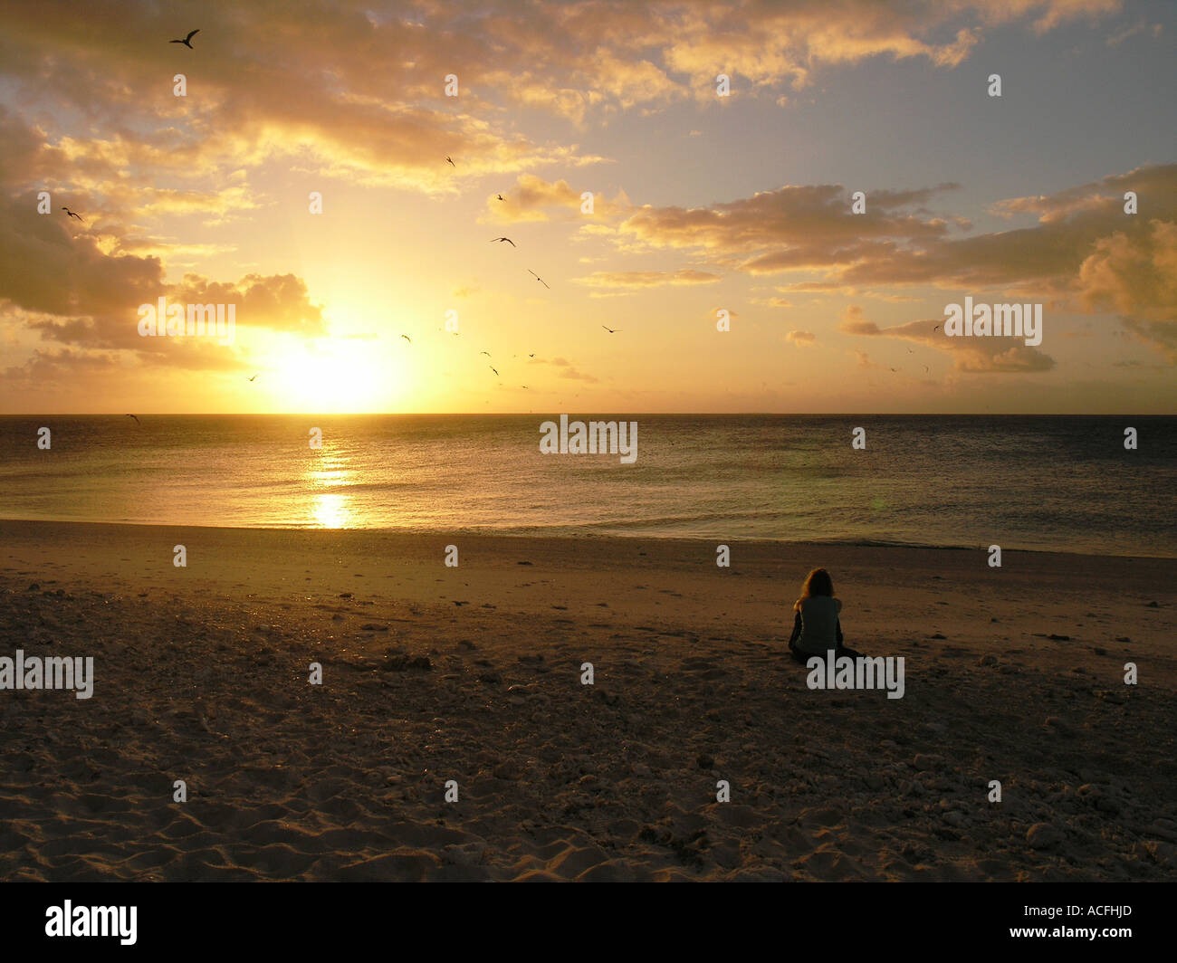 Sunset on Wilson Island, Queensland, Australia Stock Photo - Alamy