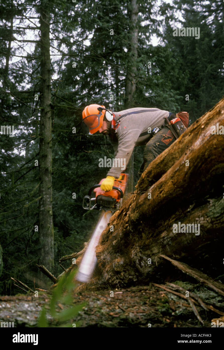Logging loggers heavy machinery hi-res stock photography and images - Alamy