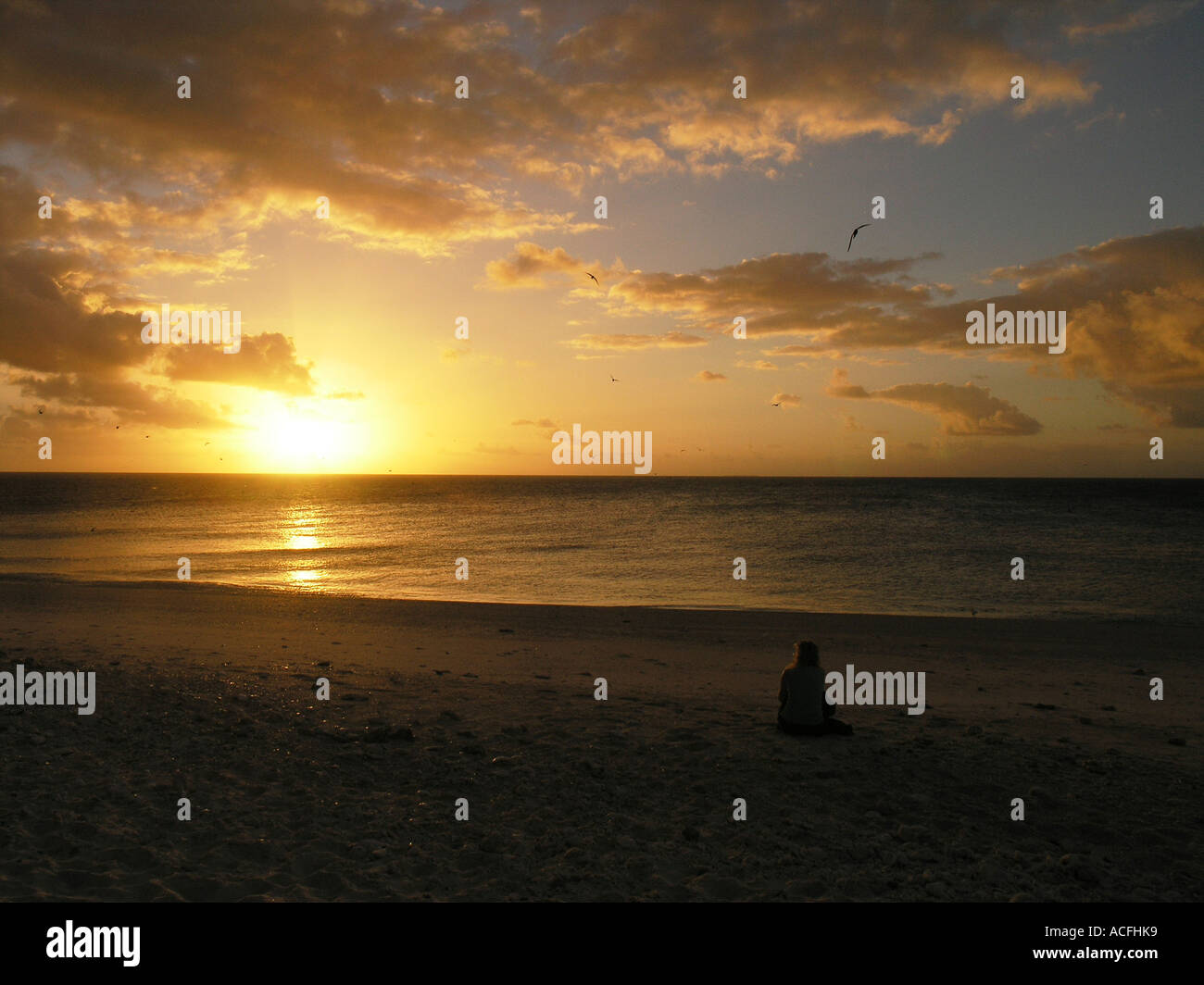 Sunset on Wilson Island, Queensland, Australia Stock Photo - Alamy