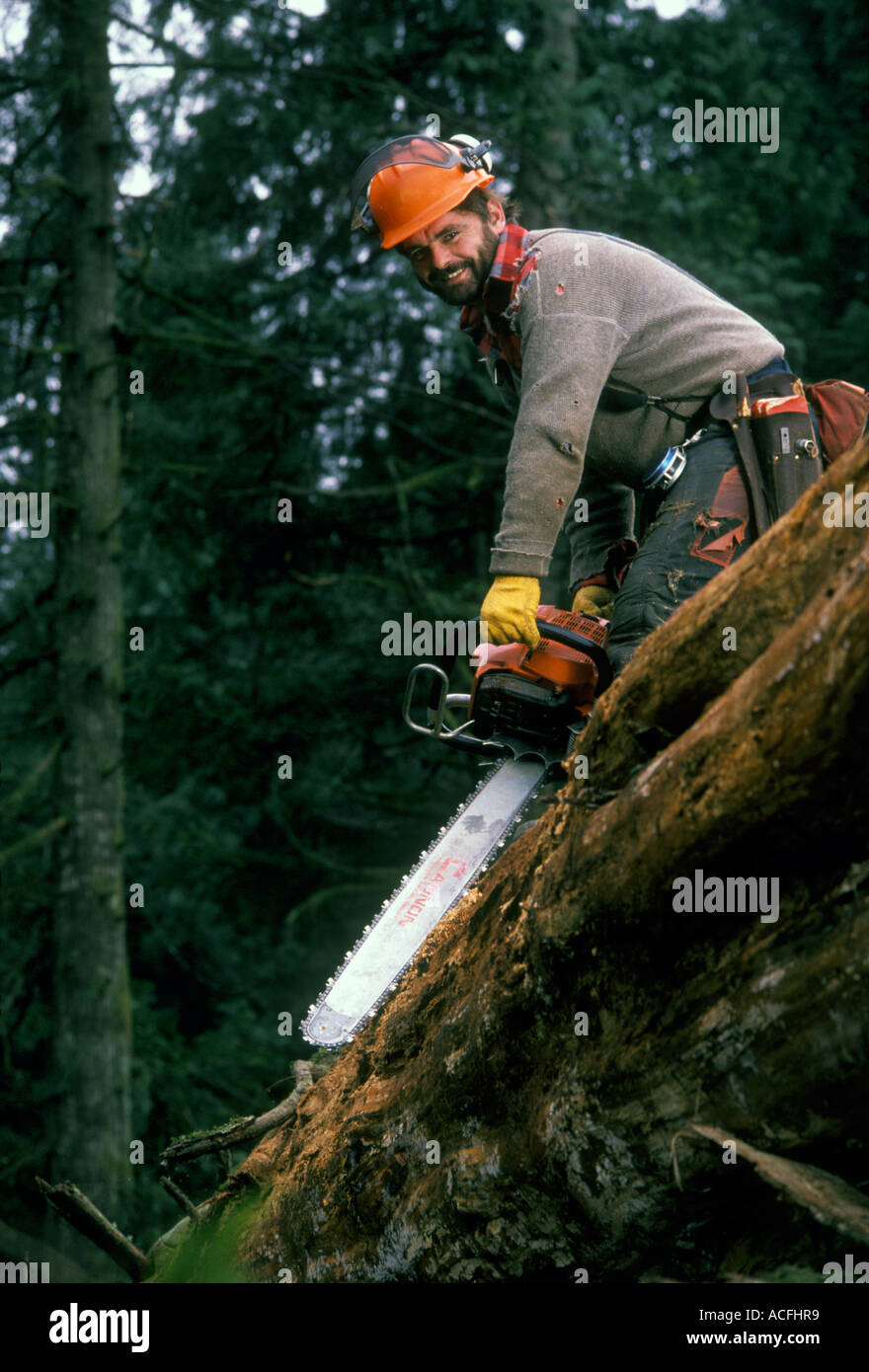 Logging loggers heavy machinery hi-res stock photography and images - Alamy
