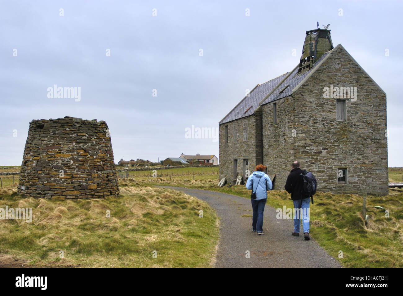 Sheep farm orkney islands hi-res stock photography and images - Alamy