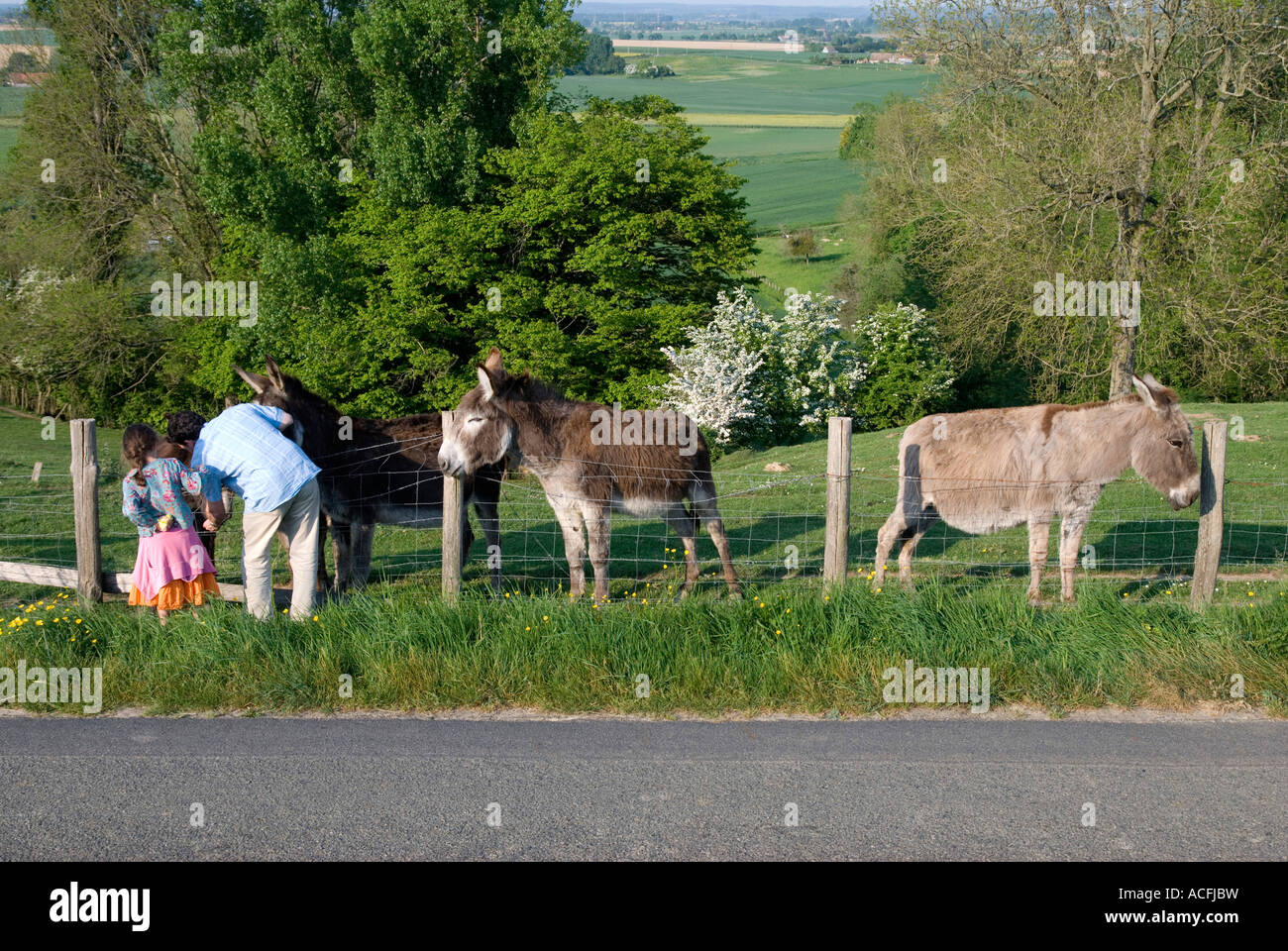 Trois anes hi-res stock photography and images - Alamy