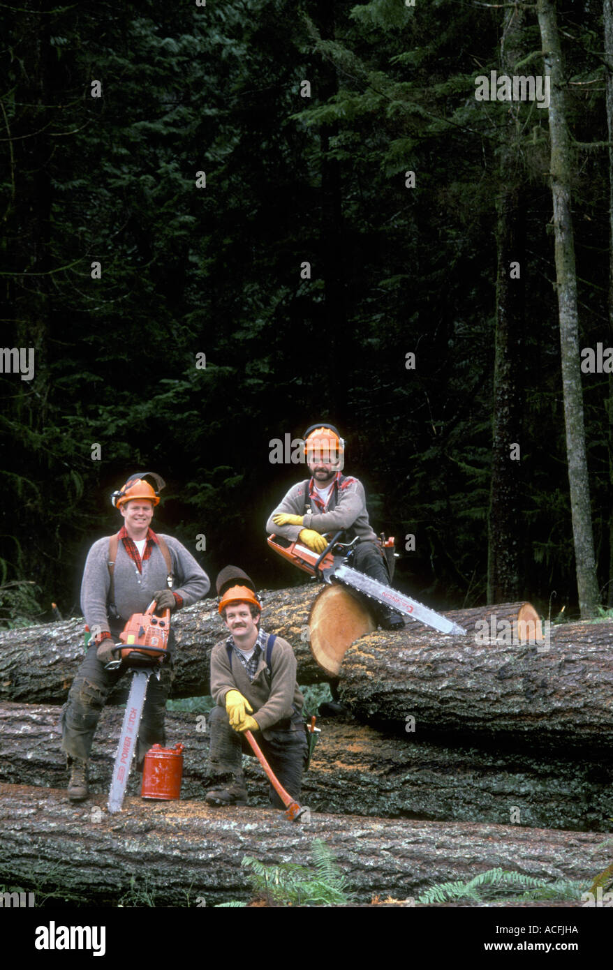 Logging loggers heavy machinery hi-res stock photography and images - Alamy