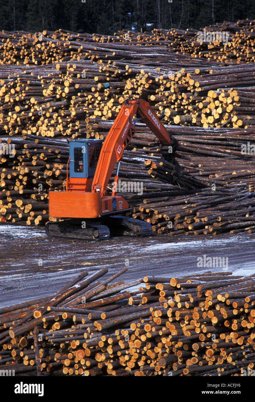 Log sort yard hi-res stock photography and images - Alamy