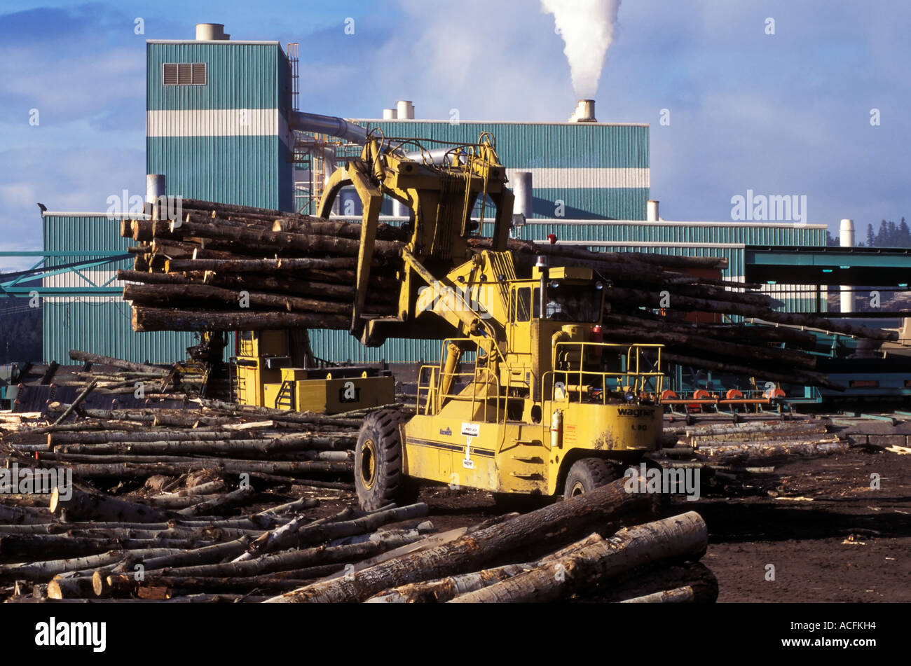Osb plant hi-res stock photography and images - Alamy