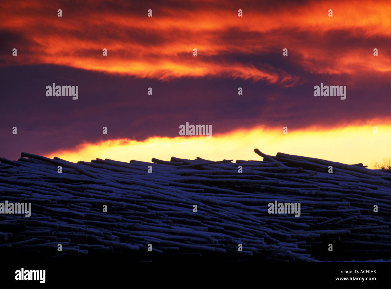 Log sort yard hi-res stock photography and images - Alamy