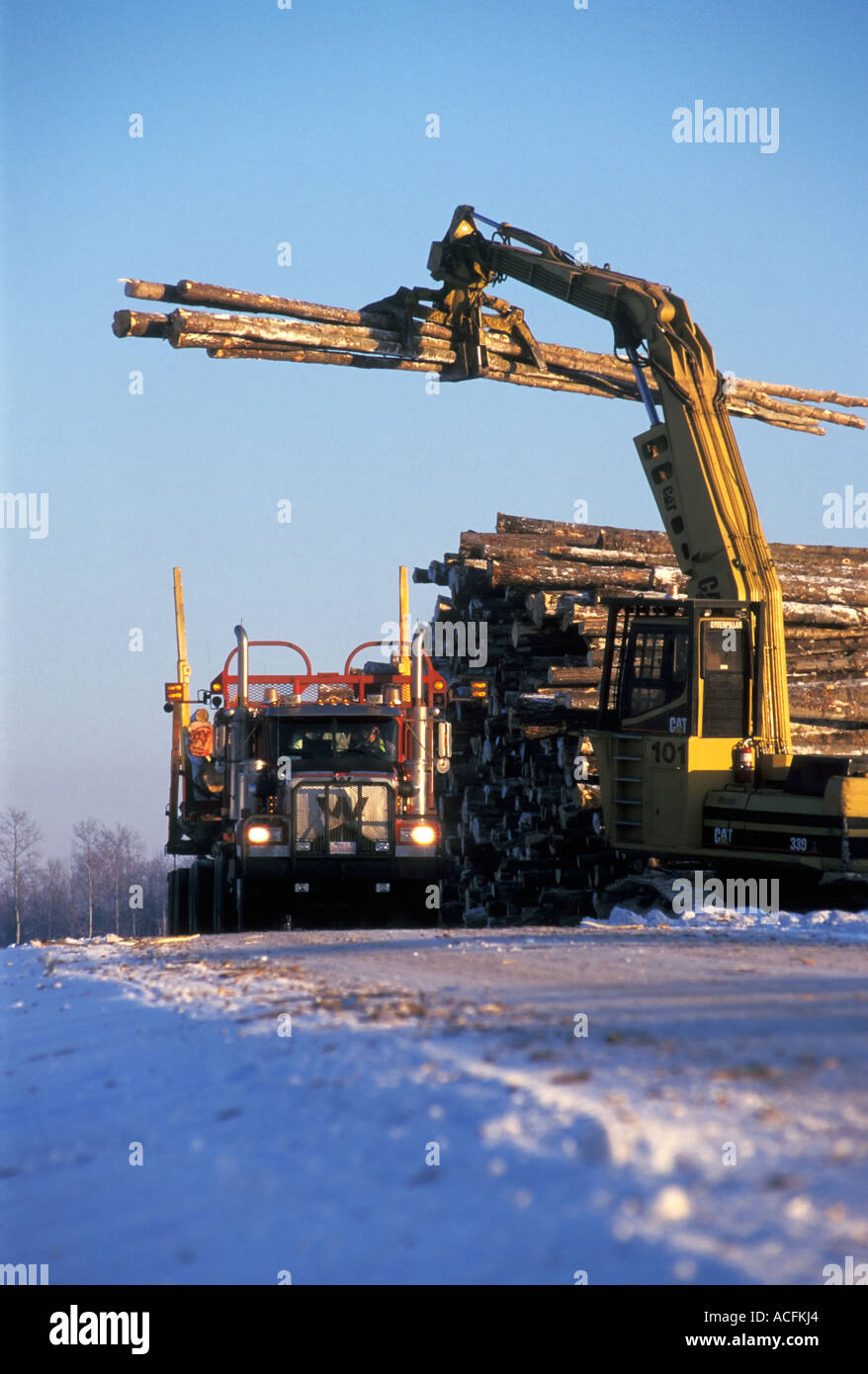 Log sort yard hi-res stock photography and images - Alamy