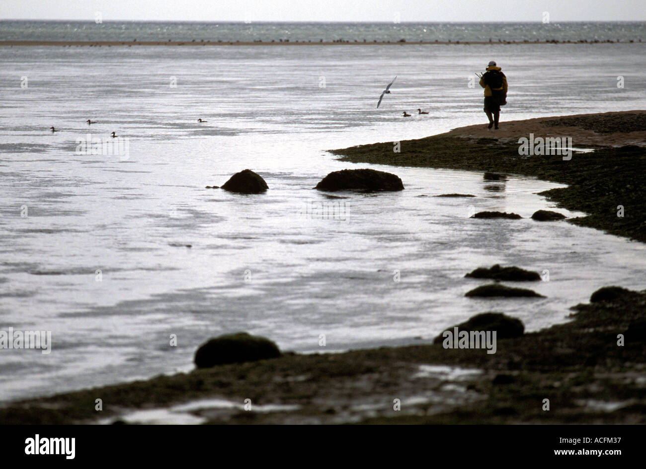 A lone angler walking alongside an estuary in portrait format Stock ...