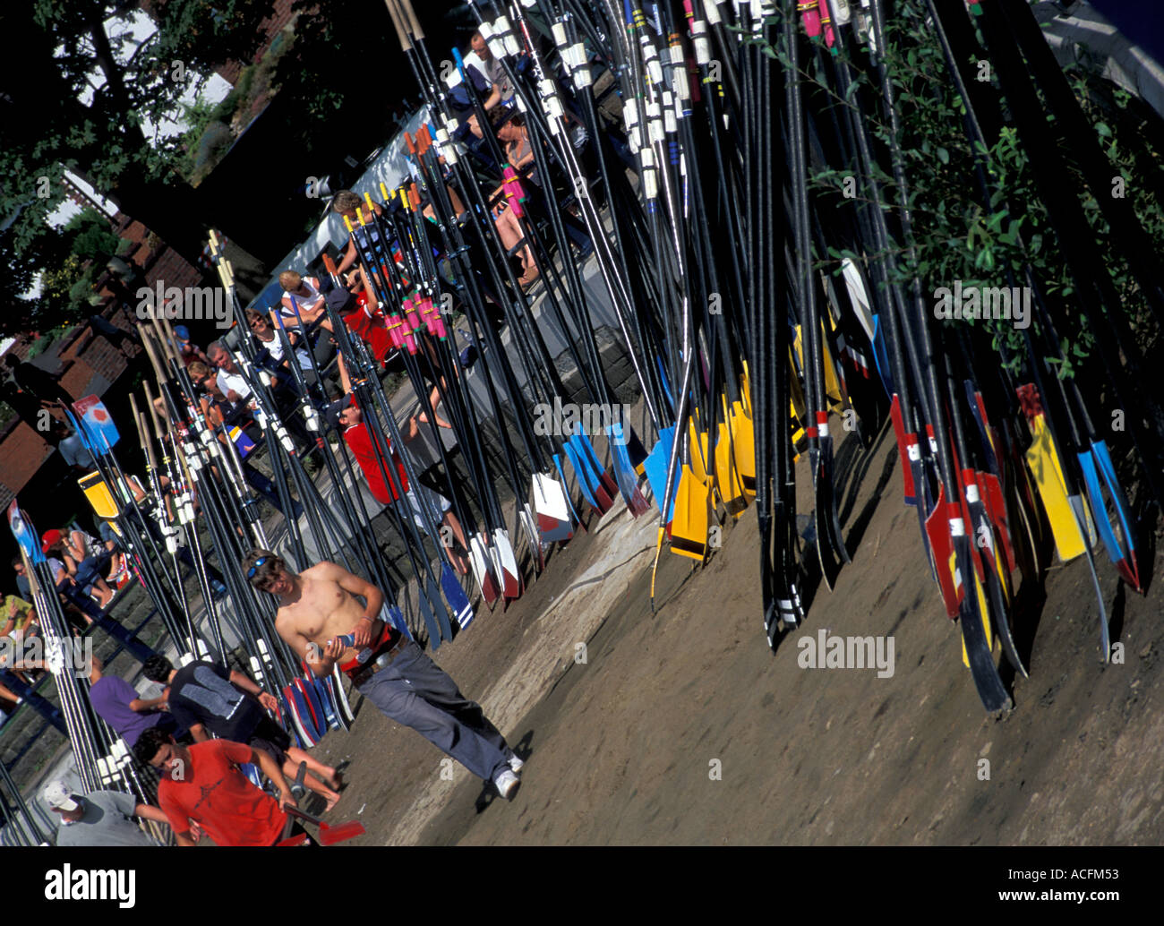 Stacked rowing oars hi-res stock photography and images - Alamy