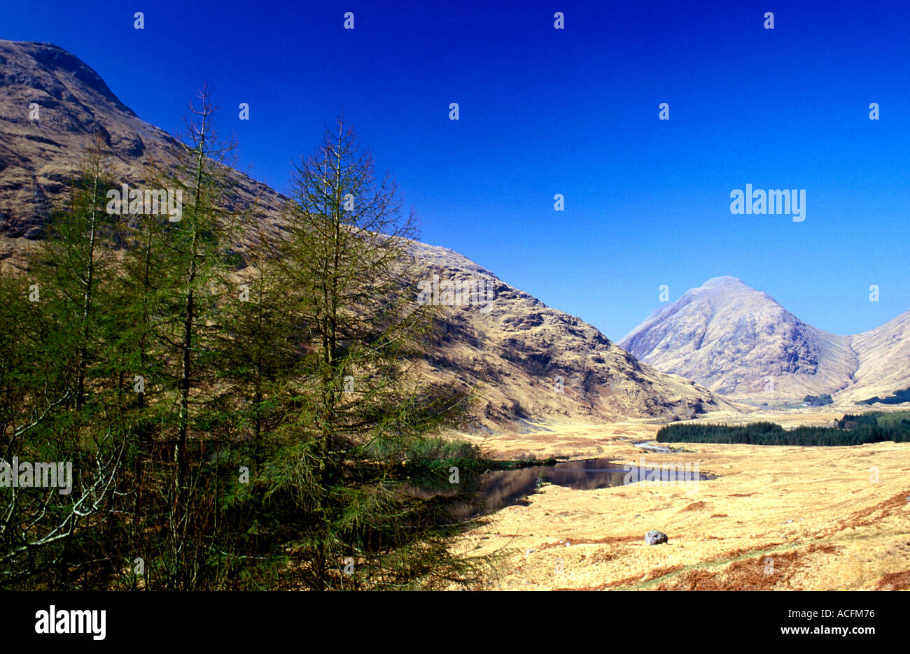 Glen Etive Scottish Highlands in bright spring colours Stock Photo - Alamy