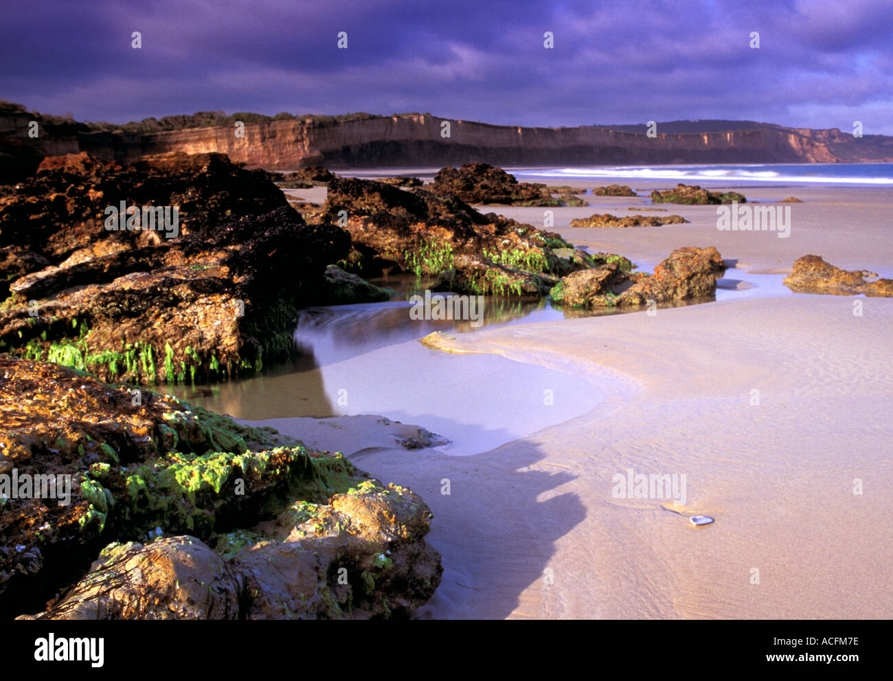 Australian great ocean road Anglesea beach landscape with seaweed ...