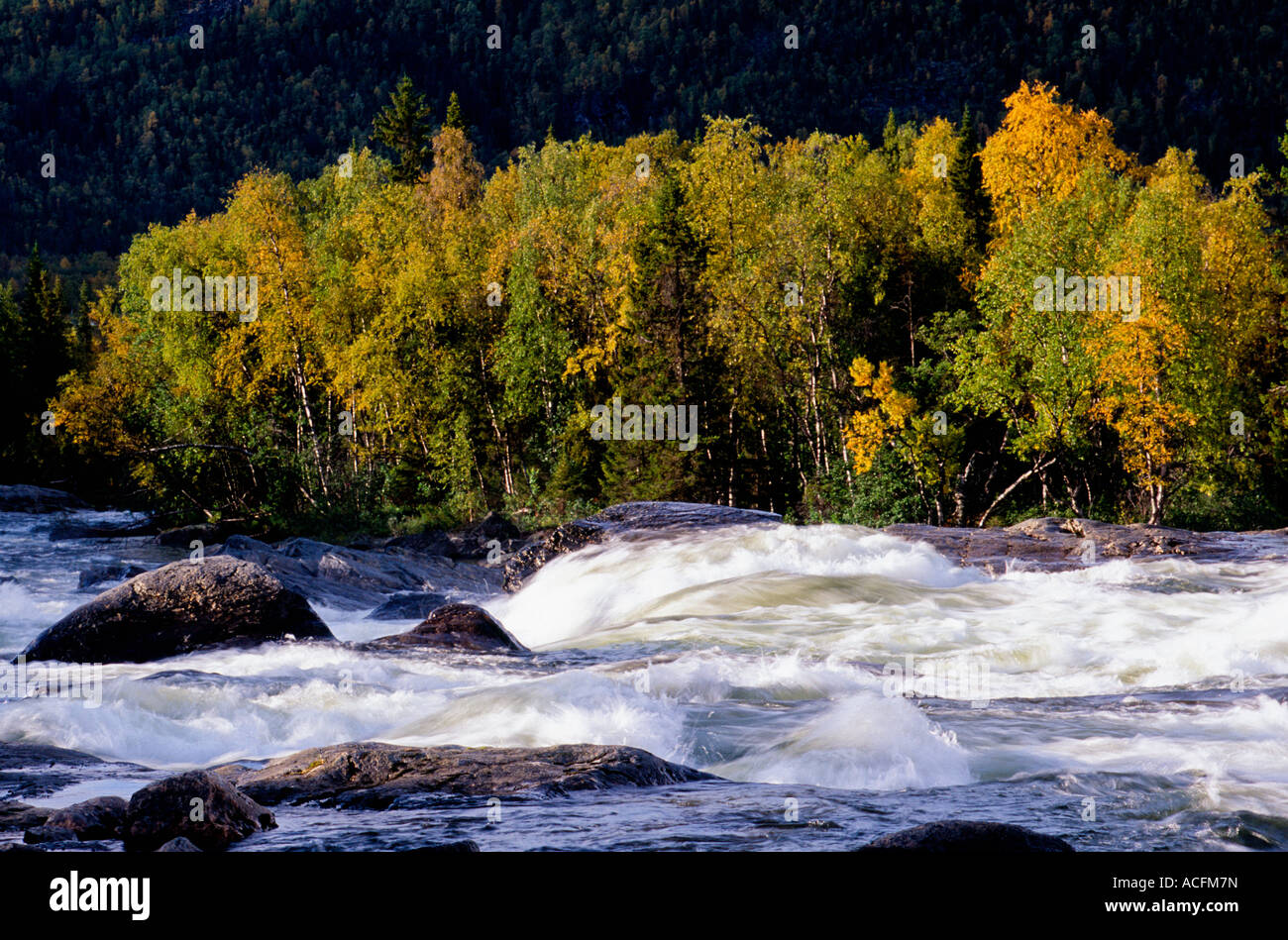 Autumn river flowing in the landscape Stock Photo - Alamy