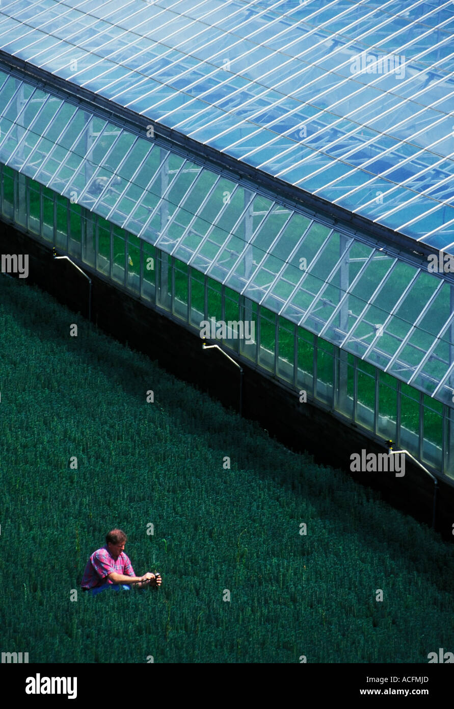 Tree planting bc hi-res stock photography and images - Alamy