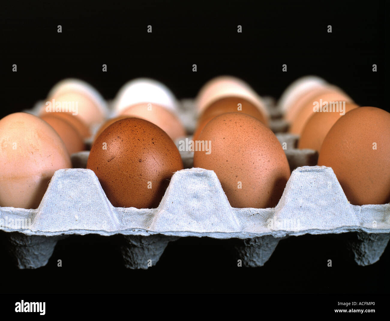 egg dispaly showing different colour/color shells Stock Photo - Alamy