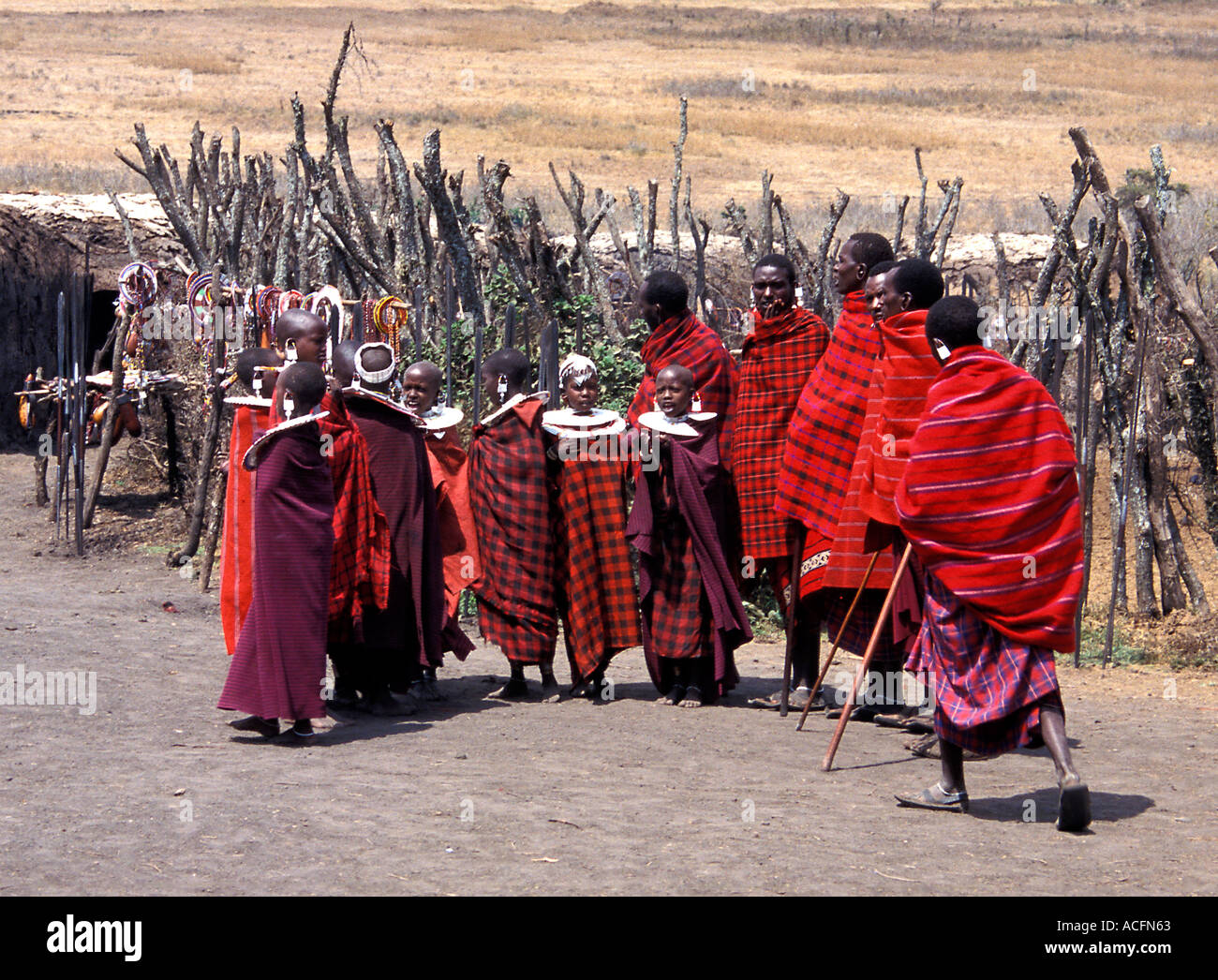 A group of Maasai people in Tanzania wearing traditional Maasai dress ...