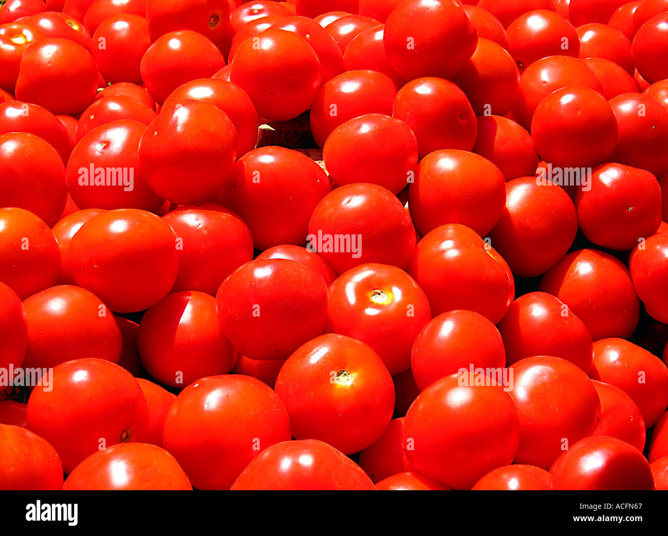 Catchlight High Resolution Stock Photography and Images - Alamy
