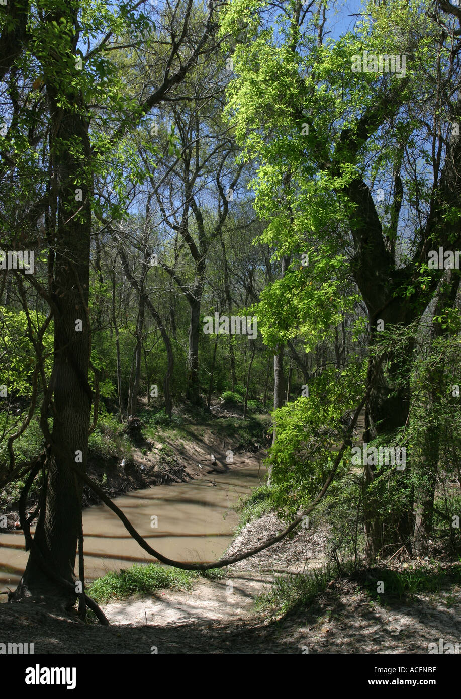 Vine made into rope hi-res stock photography and images - Alamy