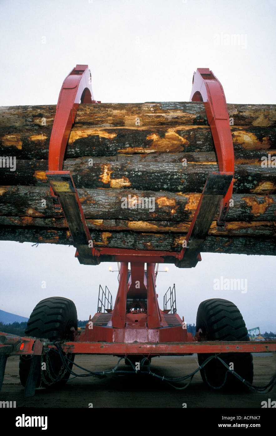 Log sort yard hi-res stock photography and images - Alamy